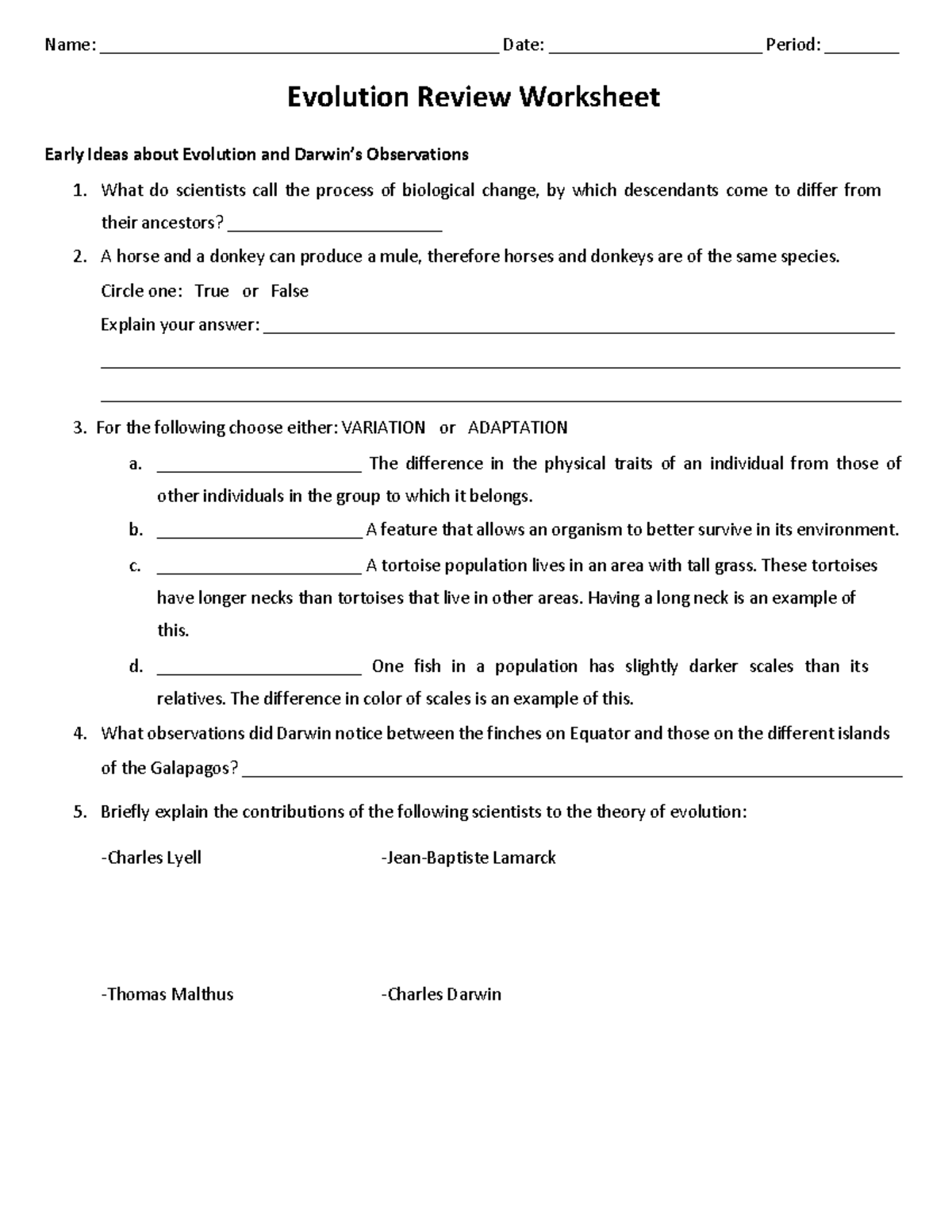 Evolution Unit Review Worksheet - Name ...