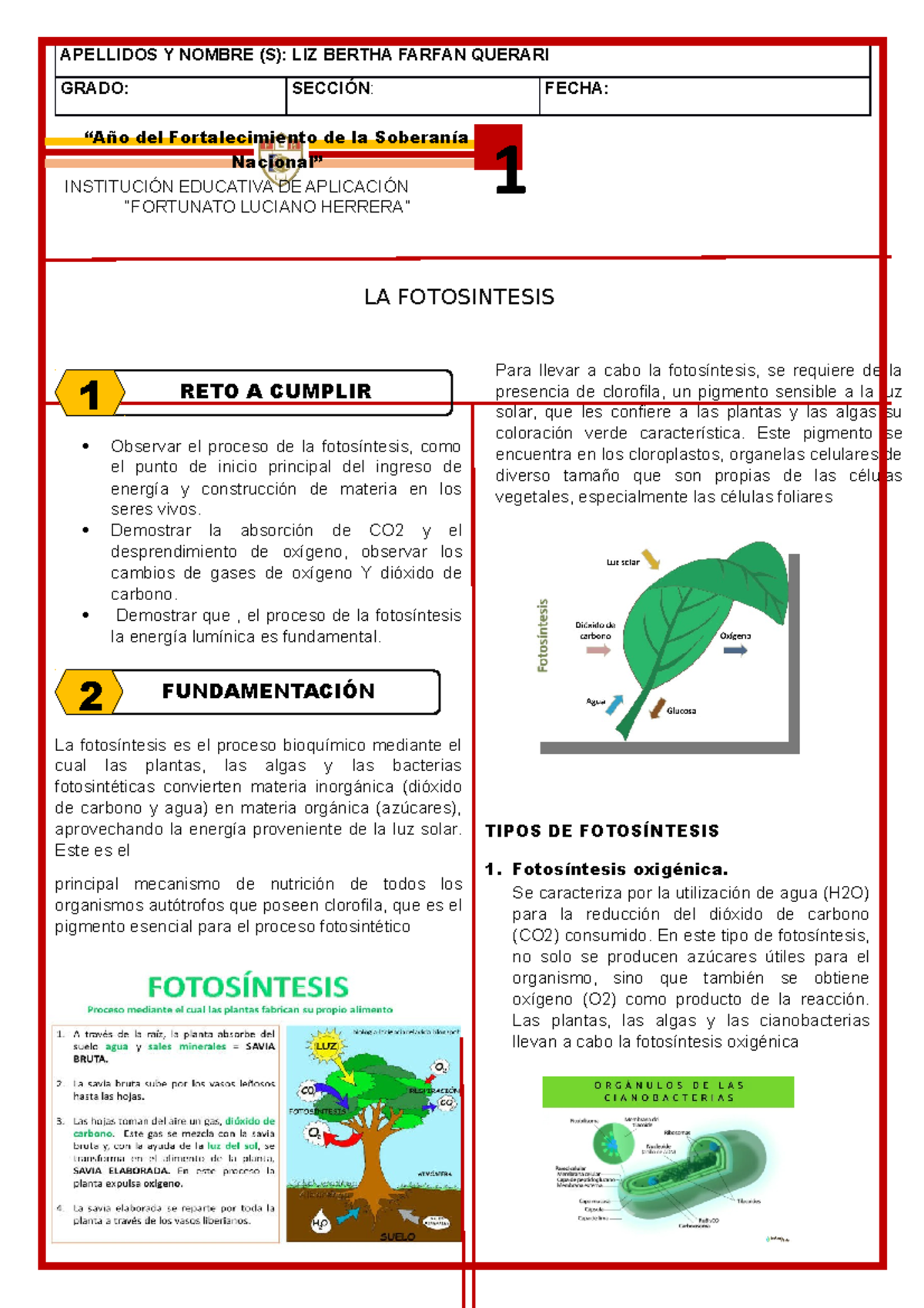 Fotosintesis - fotosinteis en la educacion secundaria - APELLIDOS Y ...