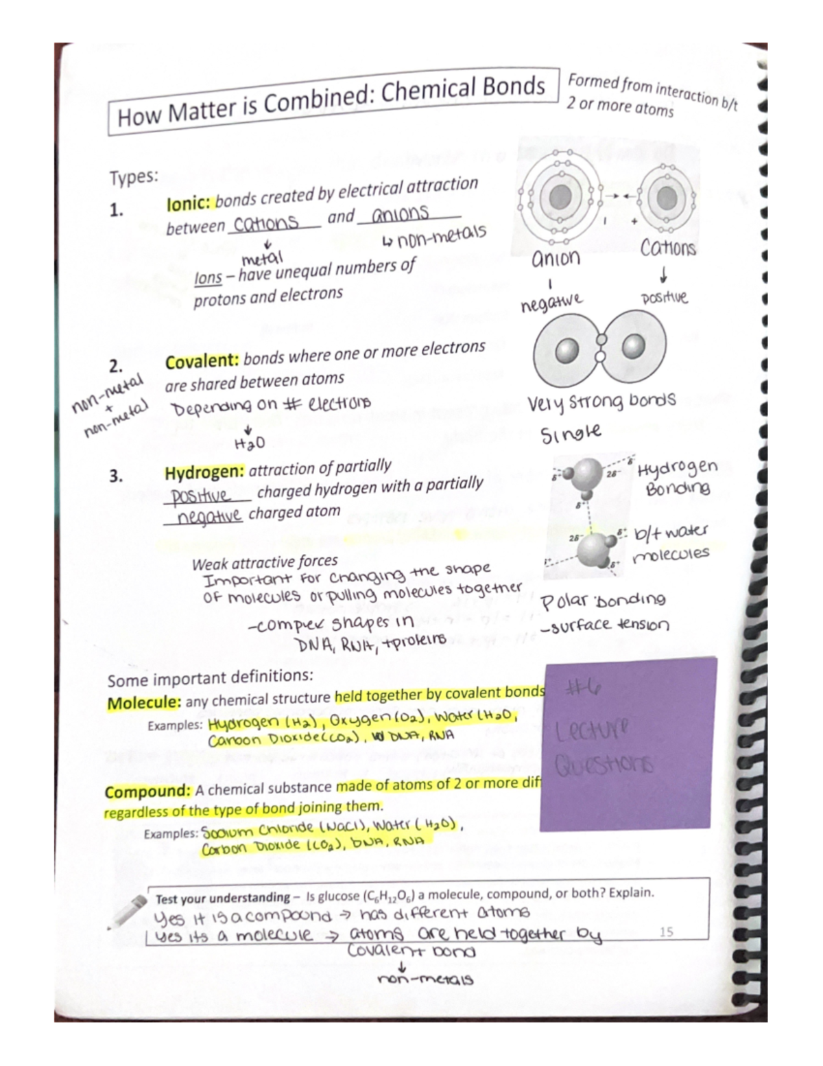 How Matter is Combined: Chemical Bonds - BIOLOGY 173 - Studocu