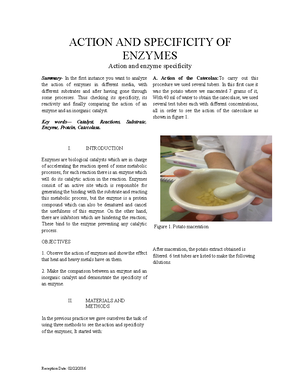 Magnification Questions for A Level Students Cell Biology Unit - BIOL ...