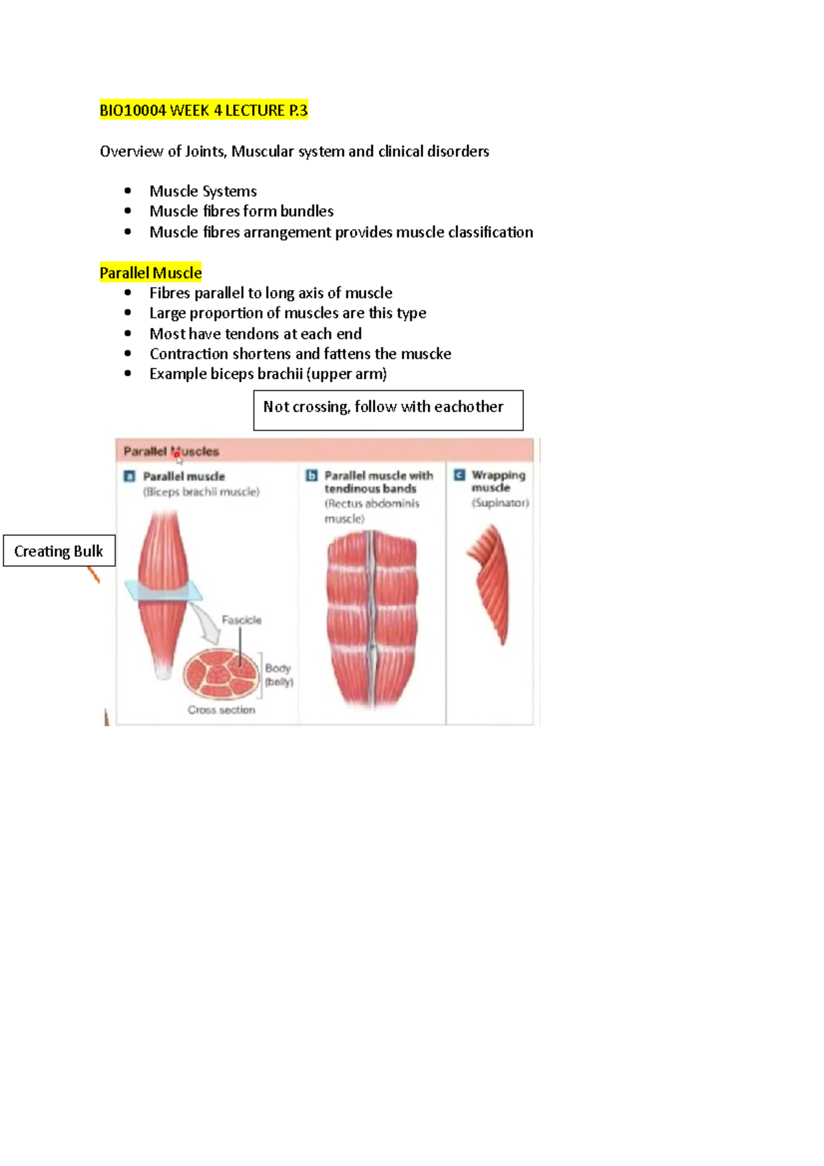 WEEK 4 Lecture P - Notes - BIO10004 WEEK 4 LECTURE P. Overview of ...
