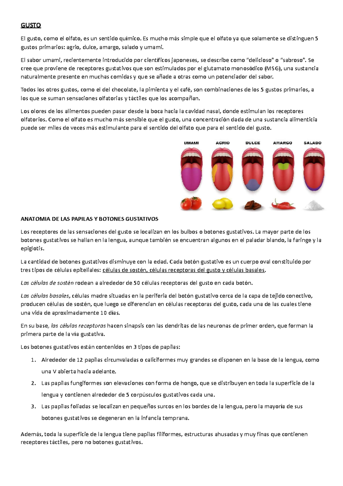 Gusto - GUSTO El gusto, como el olfato, es un sentido químico. Es mucho ...