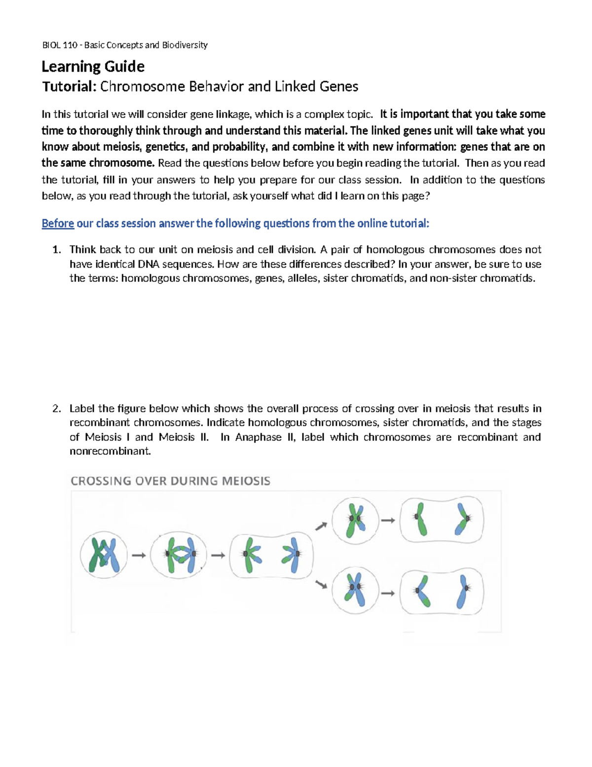 BIOL 110 Learning Guide for Tutorial 17 Chromosome Behavior and Linked ...