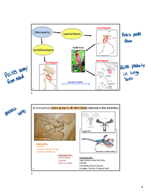 Class Practice - Insect 6 traits of Arthropods fusion of segments ...