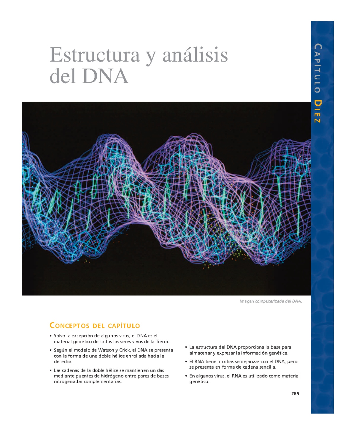 Libro Klug Resumido - Imagen computerizada del DNA. C ####### A P Í T U ...