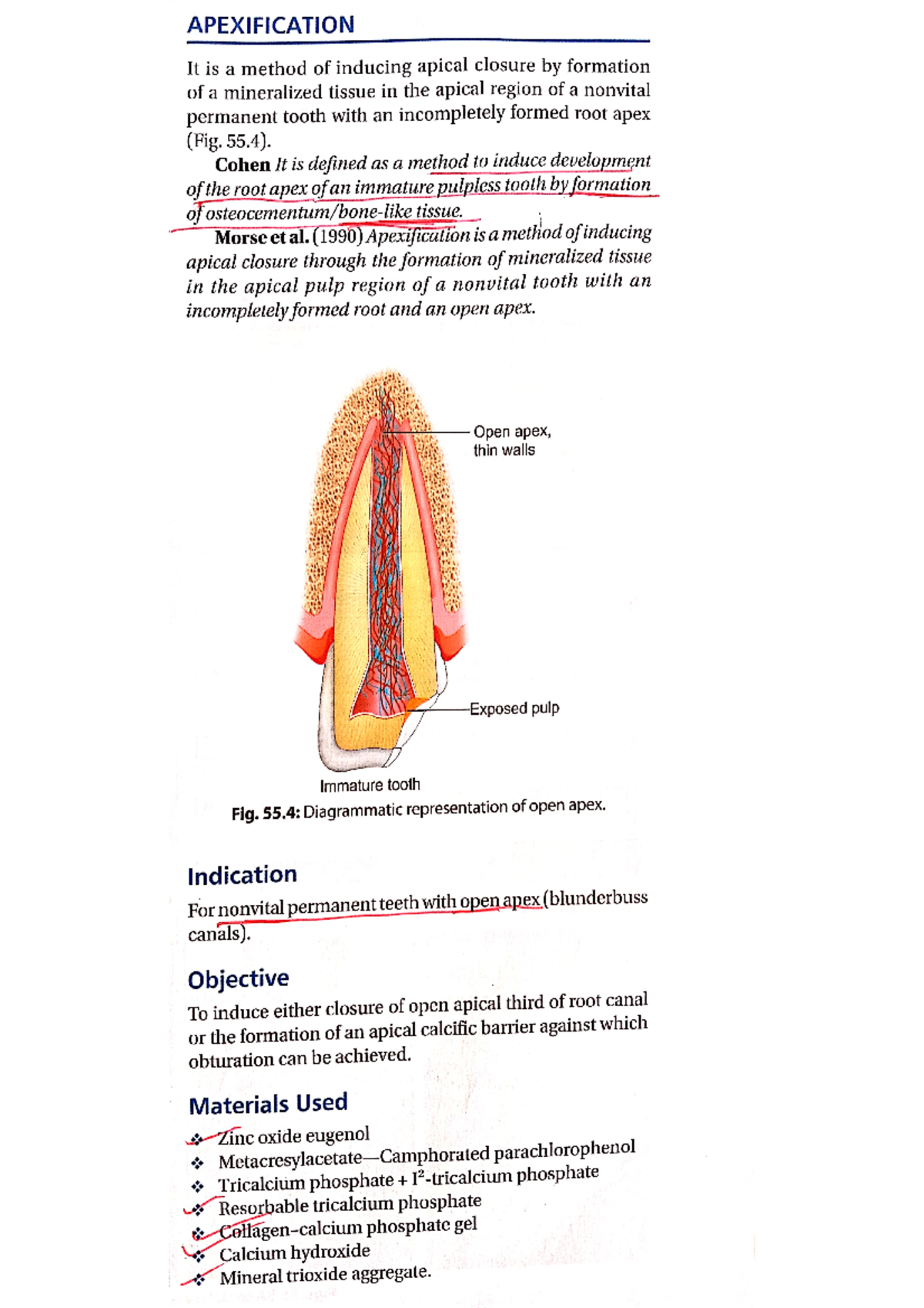 Apexification - Notes - BDS - Studocu
