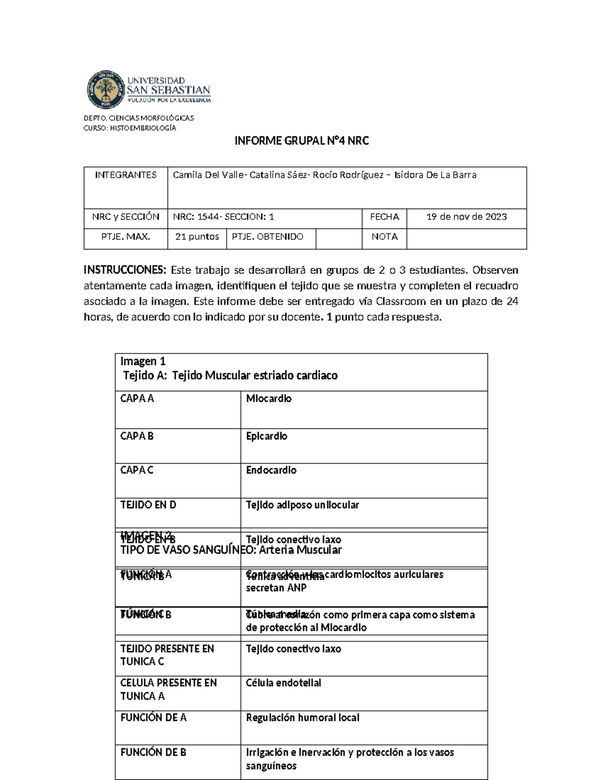 Informe Grupal 4 - Asbe - DEPTO. CIENCIAS MORFOLÓGICAS CURSO ...