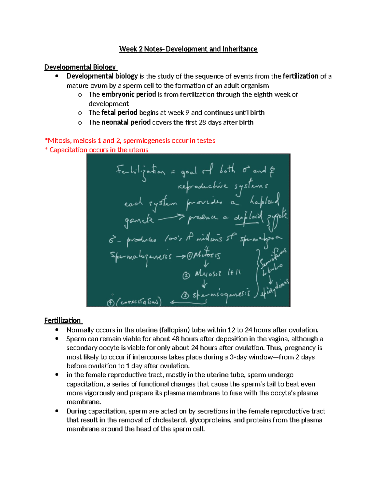 Week 2 Notes - Week 2 Notes- Development and Inheritance Developmental ...