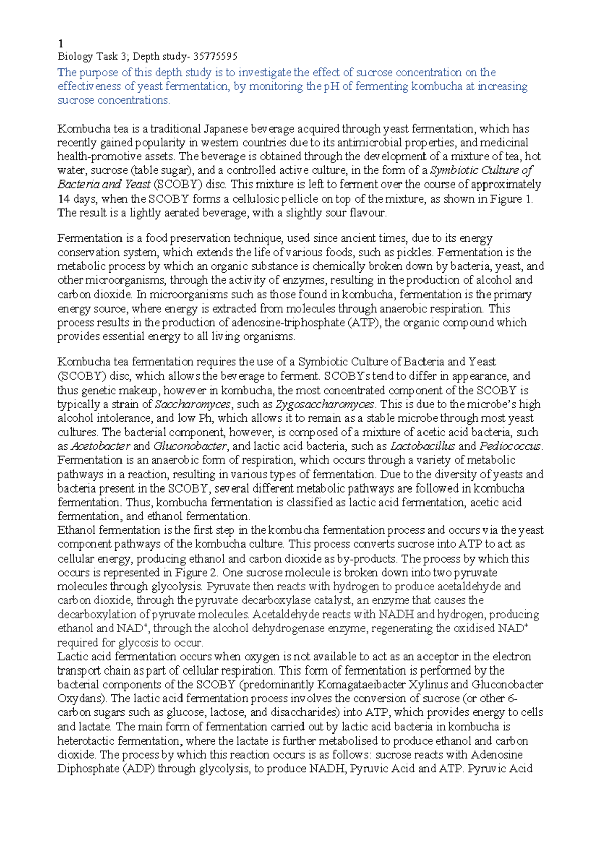 Bio depth study kombucha - Biology Task 3; Depth study- 35775595 The ...