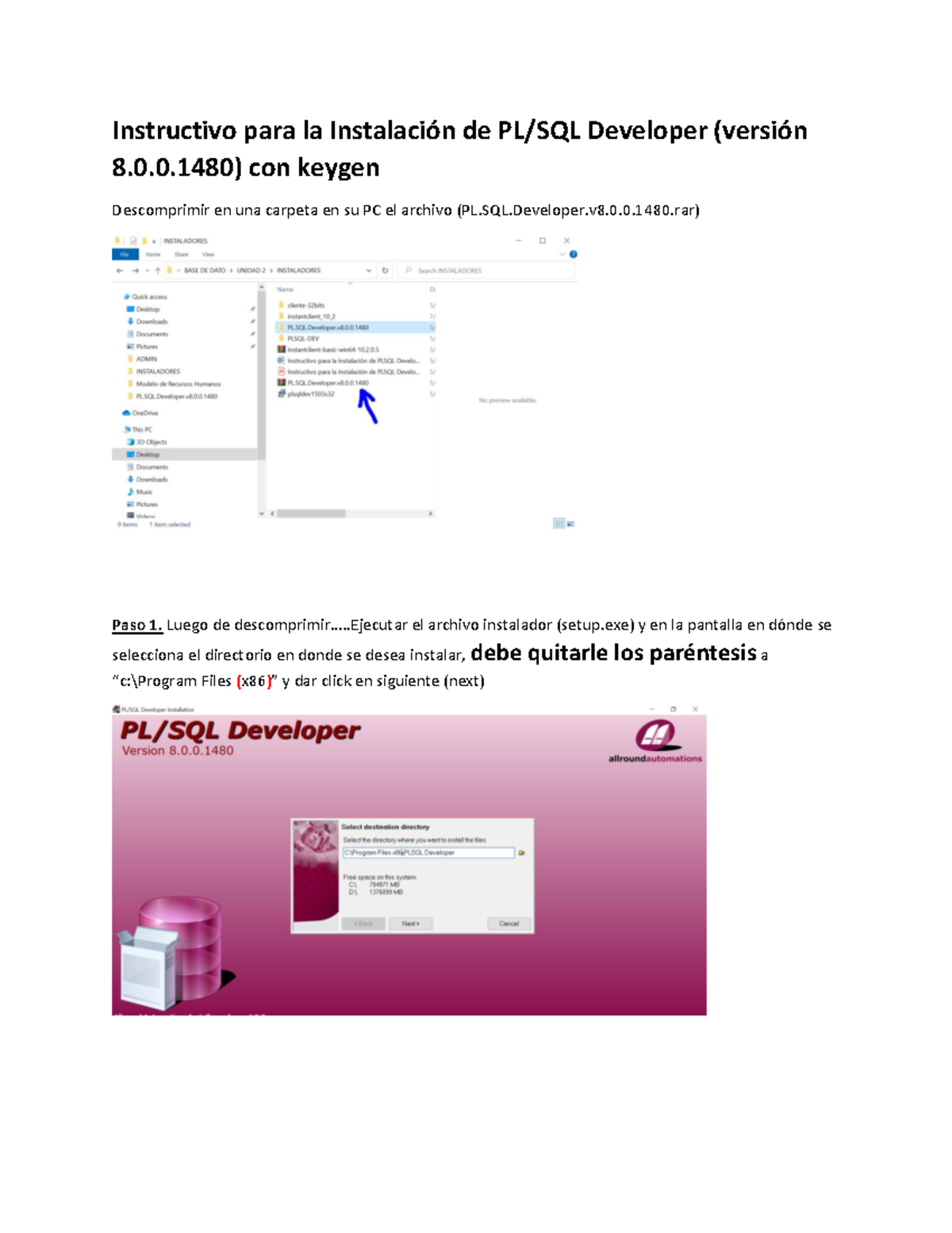 Instructivo para la Instalación de Plsql Developer v8.0 - Instructivo ...