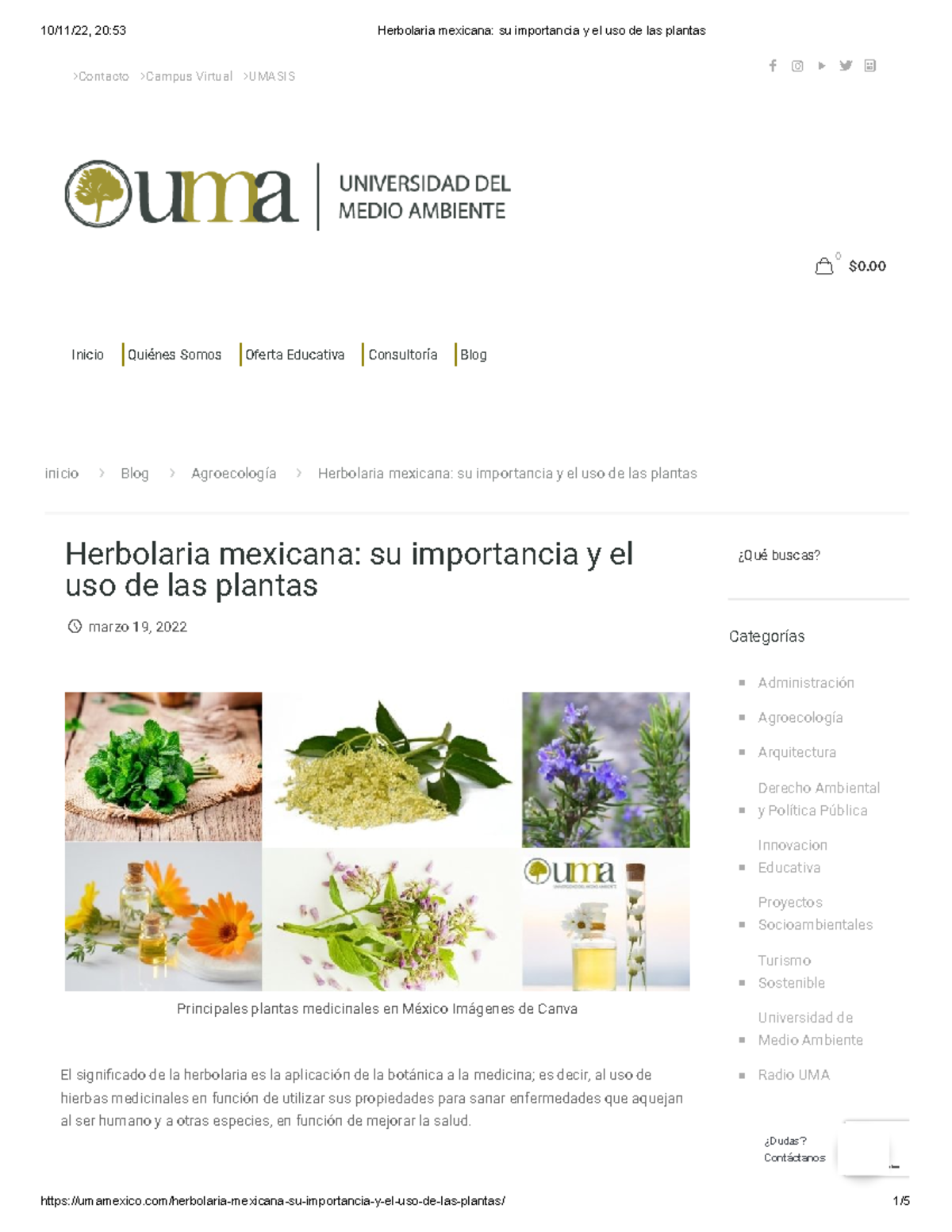 Herbolaria mexicana su importancia y el uso de las plantas - ¿Qué ...