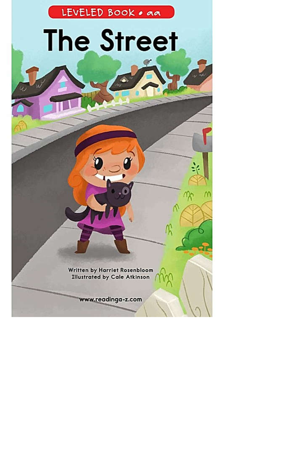 The street - asdfasdfasdfasdfasdfasdf - Mathematics: Applications and ...