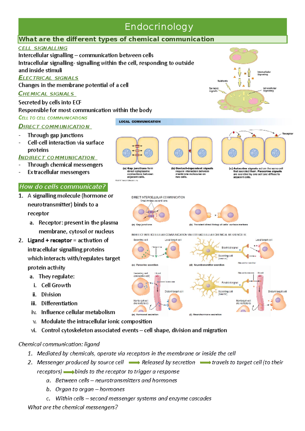 Endo Notes - Endocrinology What are the different types of chemical ...