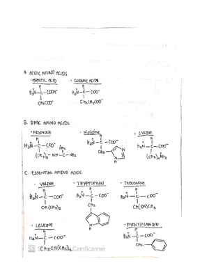 Acquire Module 1 Unit 1b Algebra Concepts - Module 1: Pre-Calculus ...
