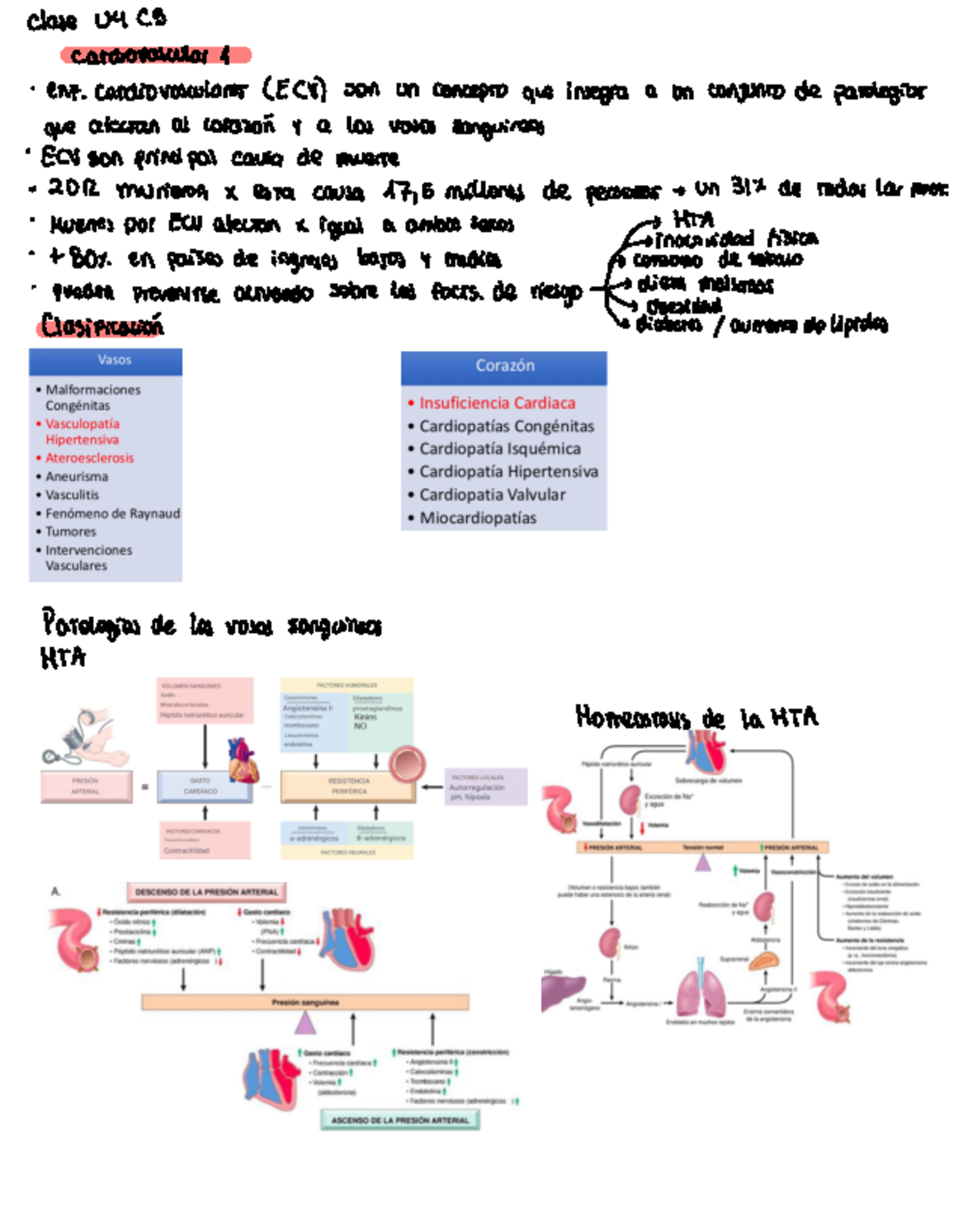 CVI y CVII - Cardiovascular 1 y 2 - clase U4C cardiovascular 1 enf ...