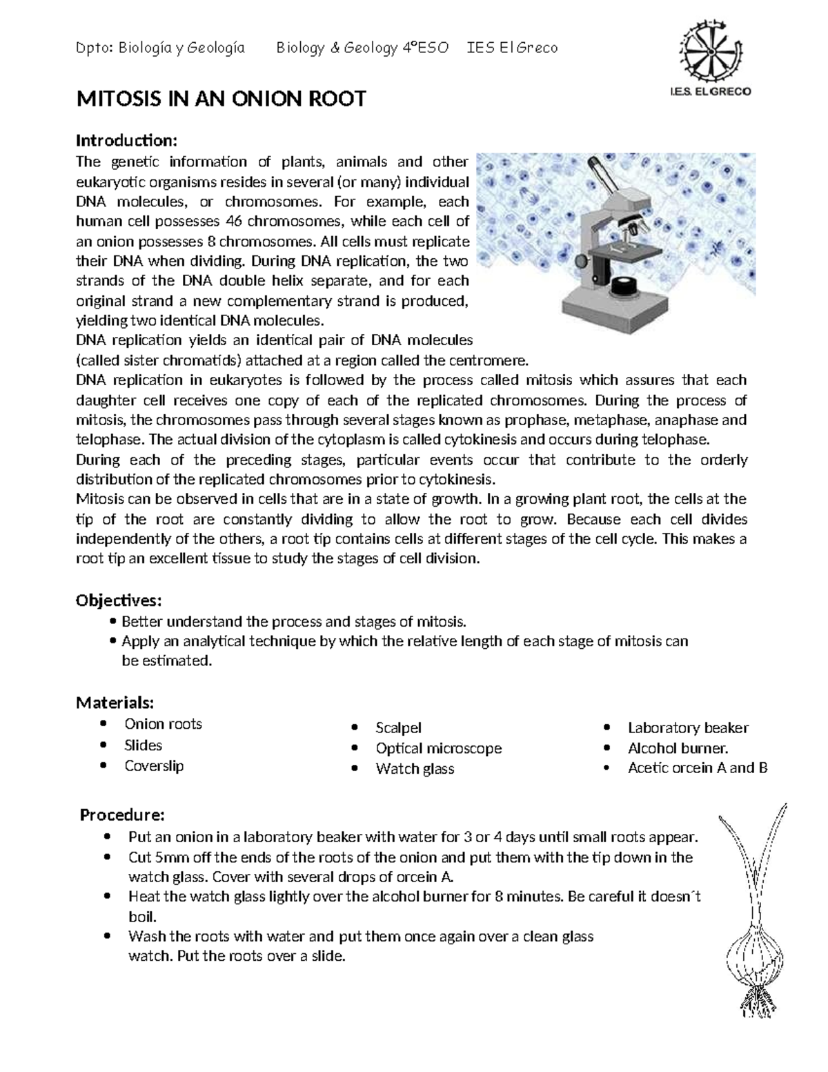 Lab. Experience -Mitosis in onion roots- MITOSIS IN AN ONION ROOT ...