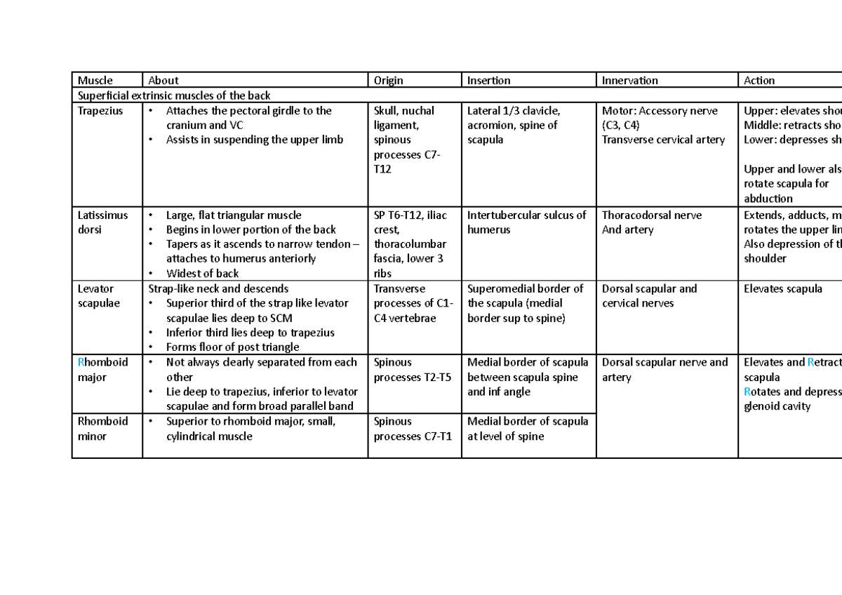 Table of muscles - Muscle About Origin Insertion Innervation Action ...