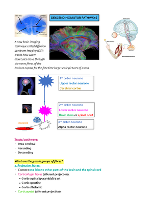 Glasgow Coma Scale Test - GCS – self assessment quiz What are the three ...