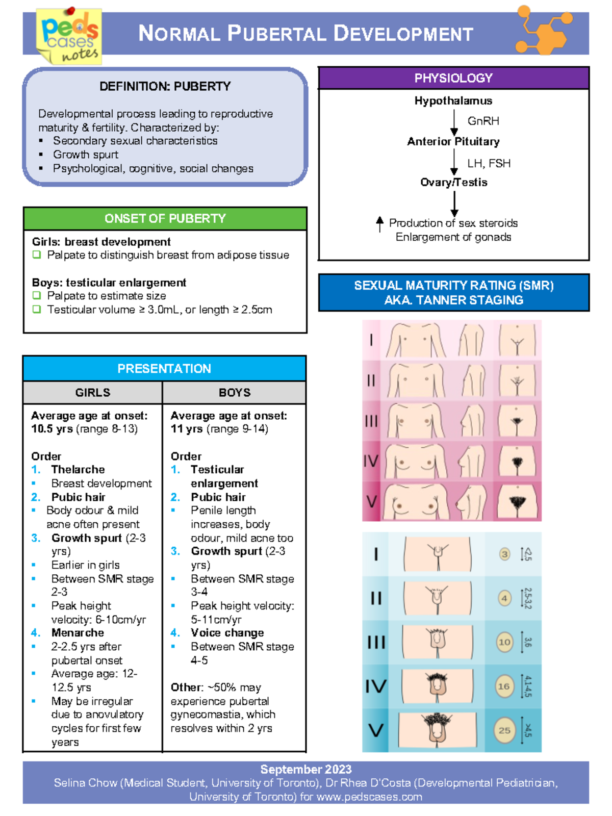Normal Pubertal Development - N ORMAL P UBERTAL D EVELOPMENT September ...