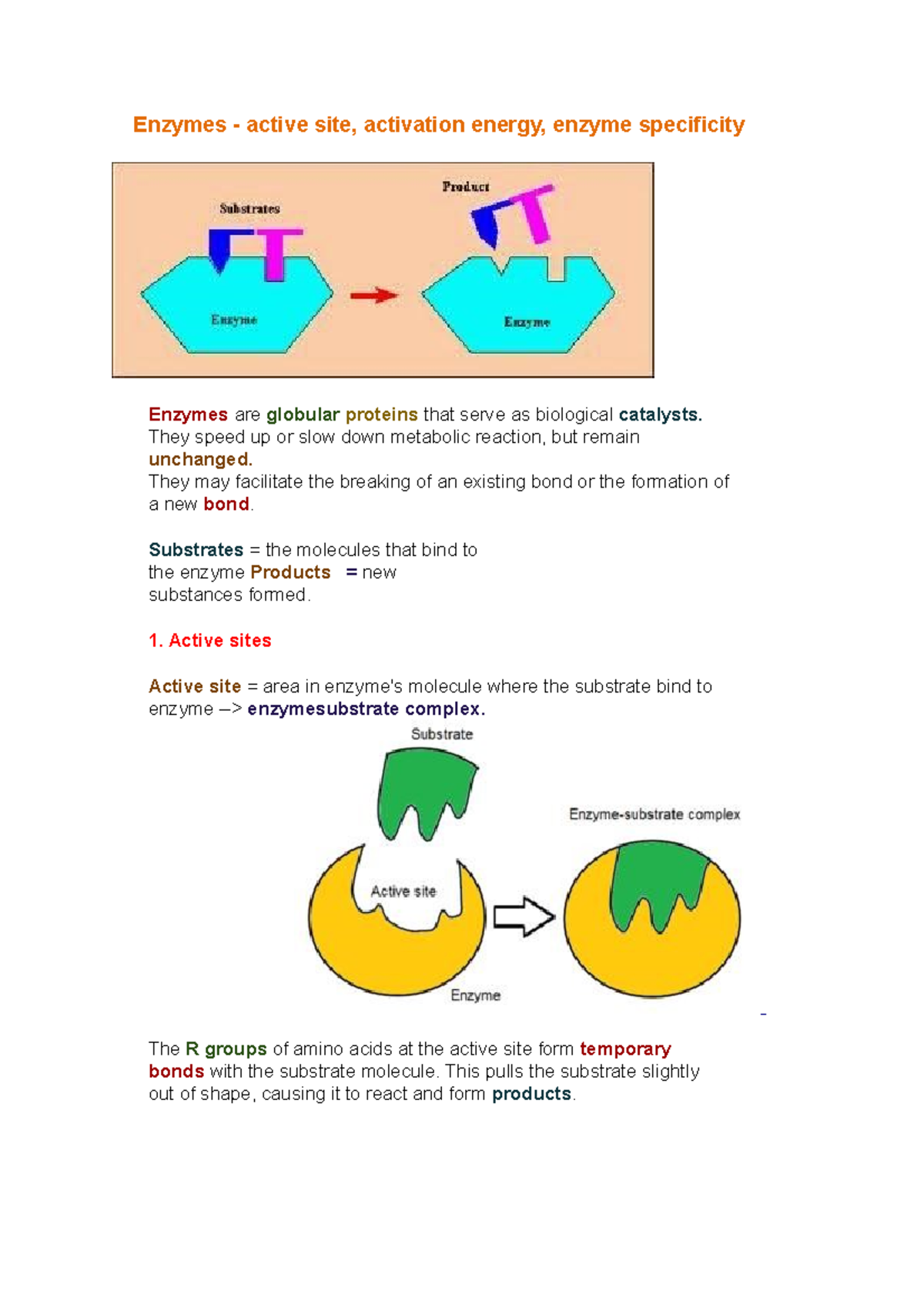 Enzyme molecules notes - Enzymes - active site, activation energy ...