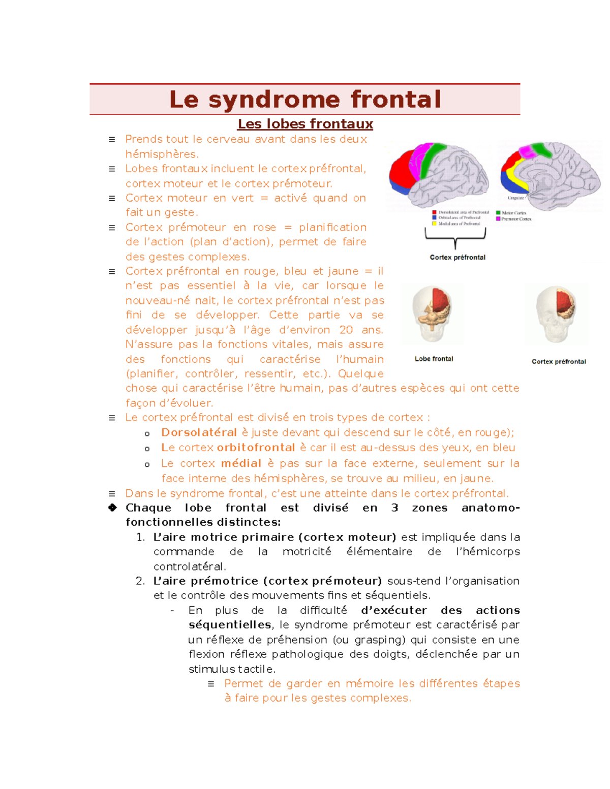Syndrome frontal - Prof: Benjamin Boller - Le syndrome frontal Les ...