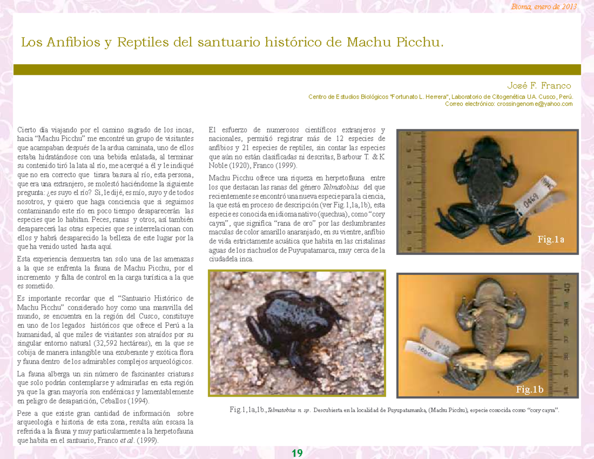 Los Anfibios y reptiles del Santuario Hi - Los Anibios y Reptiles del ...