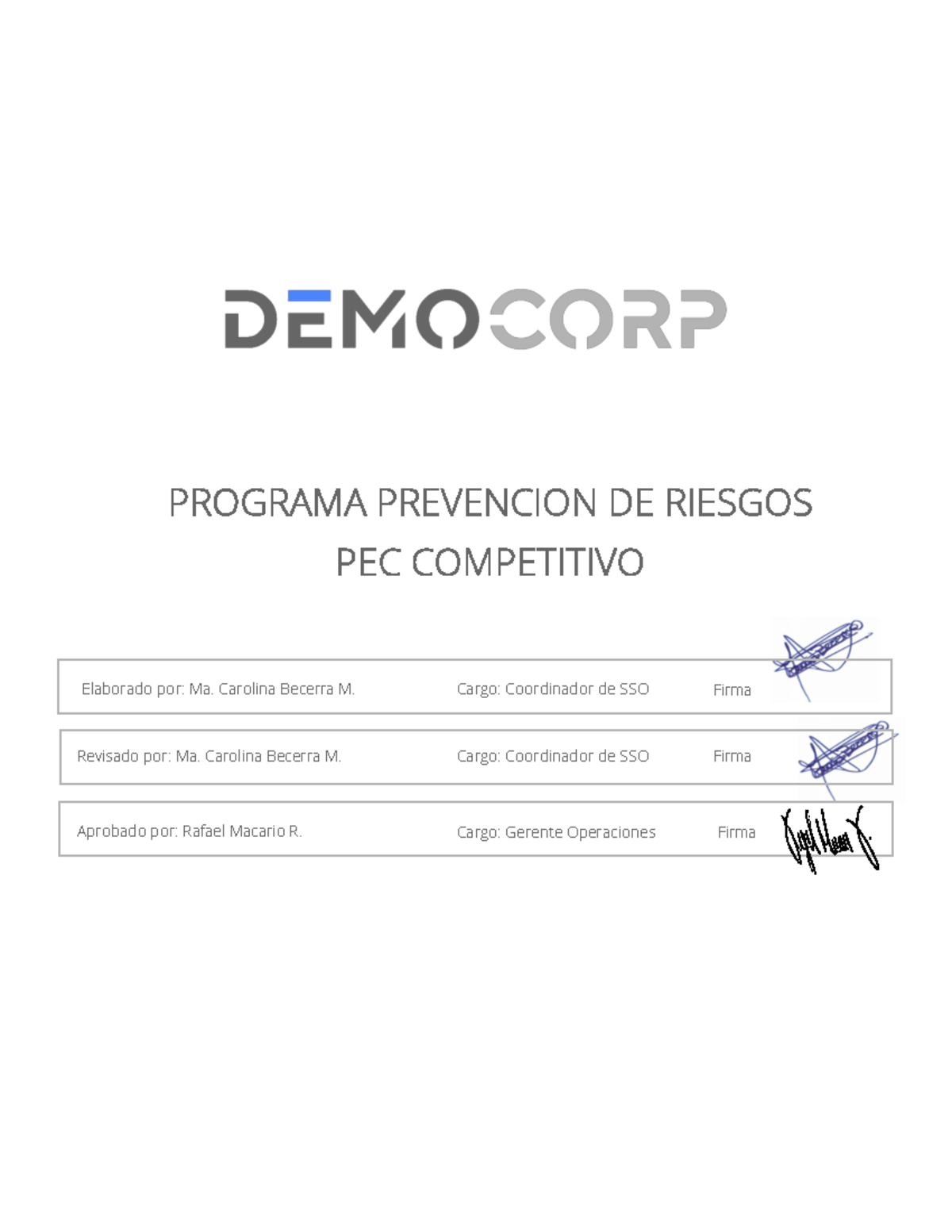 DMC SSO 02 Programa Prevencion de Riesgos Empresa - PROGRAMA PREVENCION ...