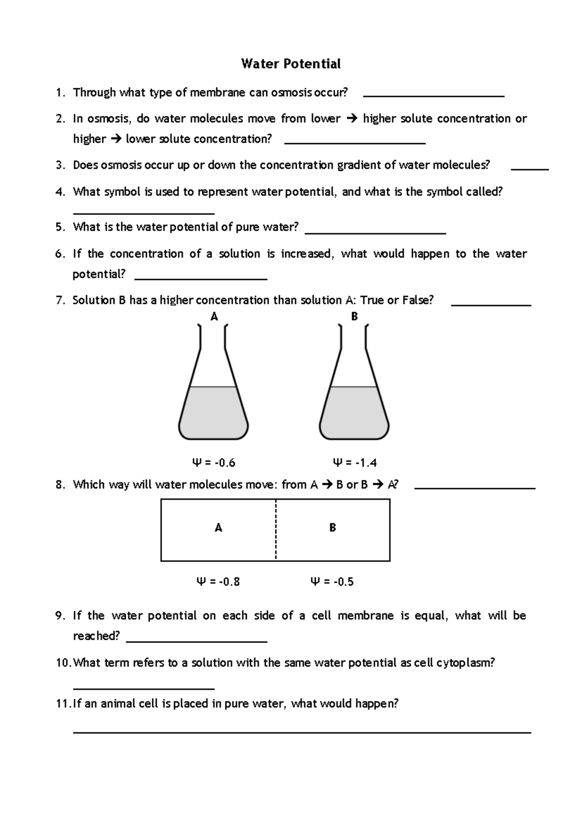 Water Potential Worksheet - Water Potential Through what type of ...