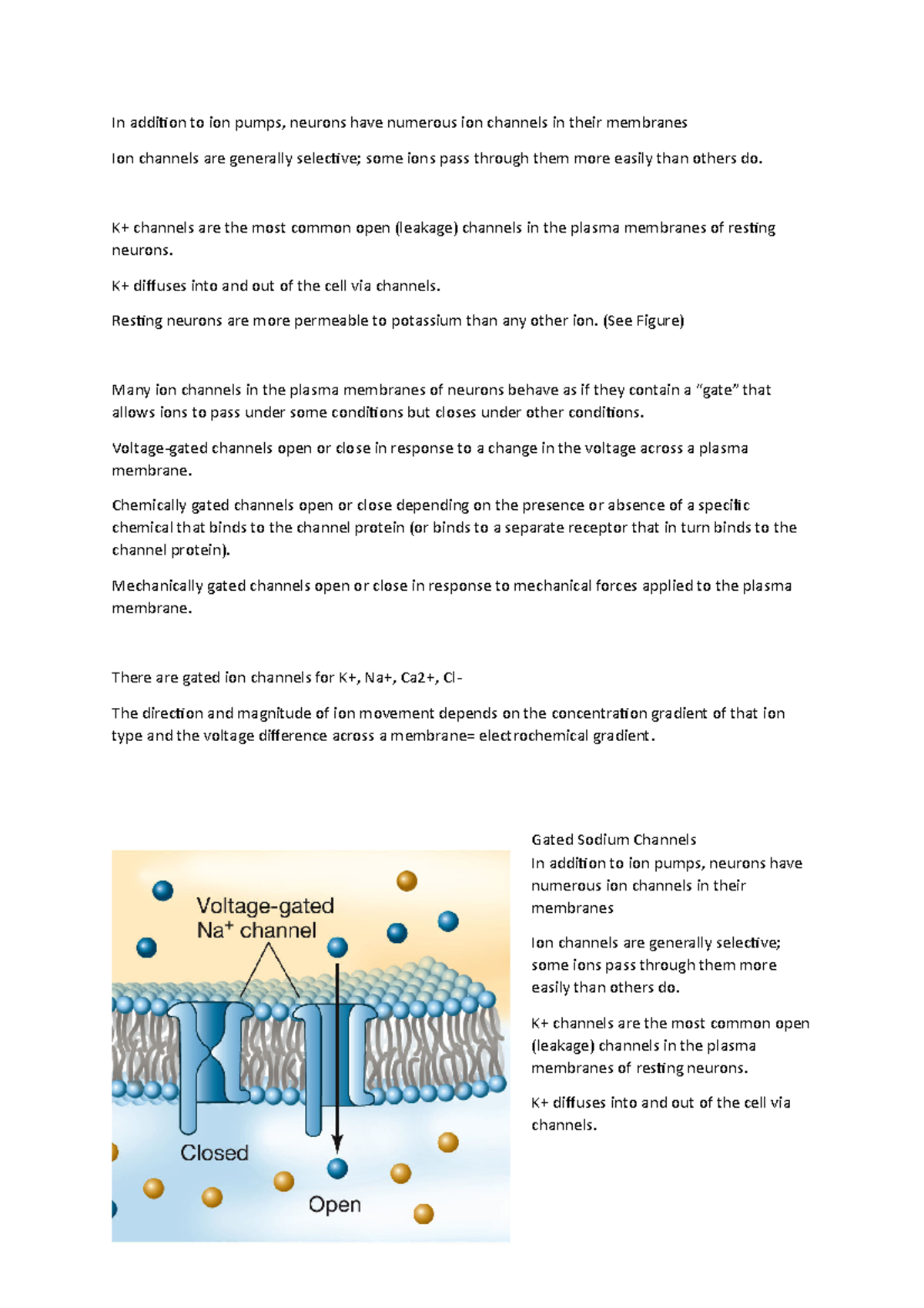 Bio Note 33 - Lecture notes 5-6 - In addition to ion pumps, neurons ...