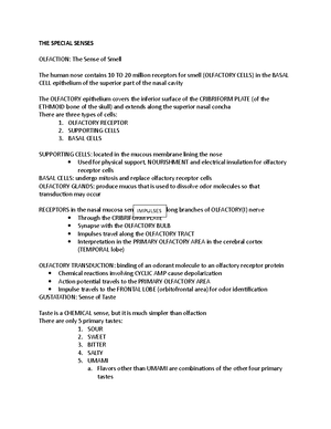 Week 5 Nervous System- Senses Updated - RAVEN MCINTYRE Week 5 Nervous ...