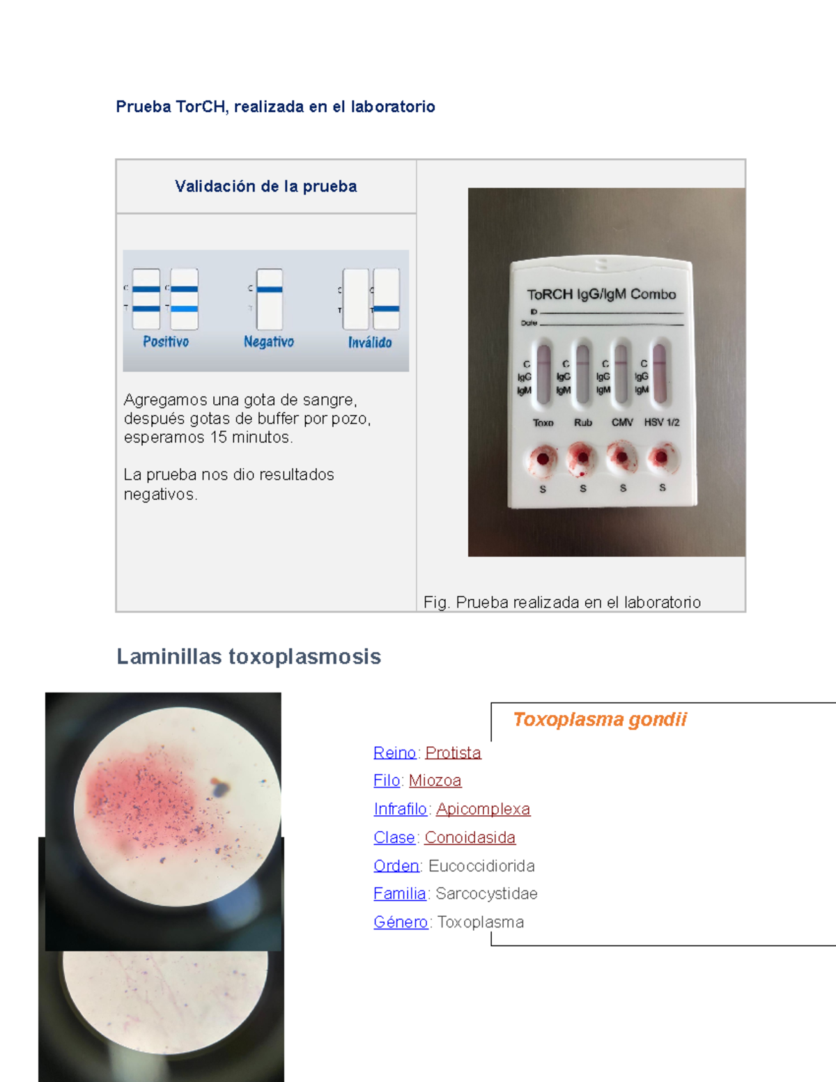 Prueba Tor CH - Prueba TorCH, realizada en el laboratorio Validación de ...