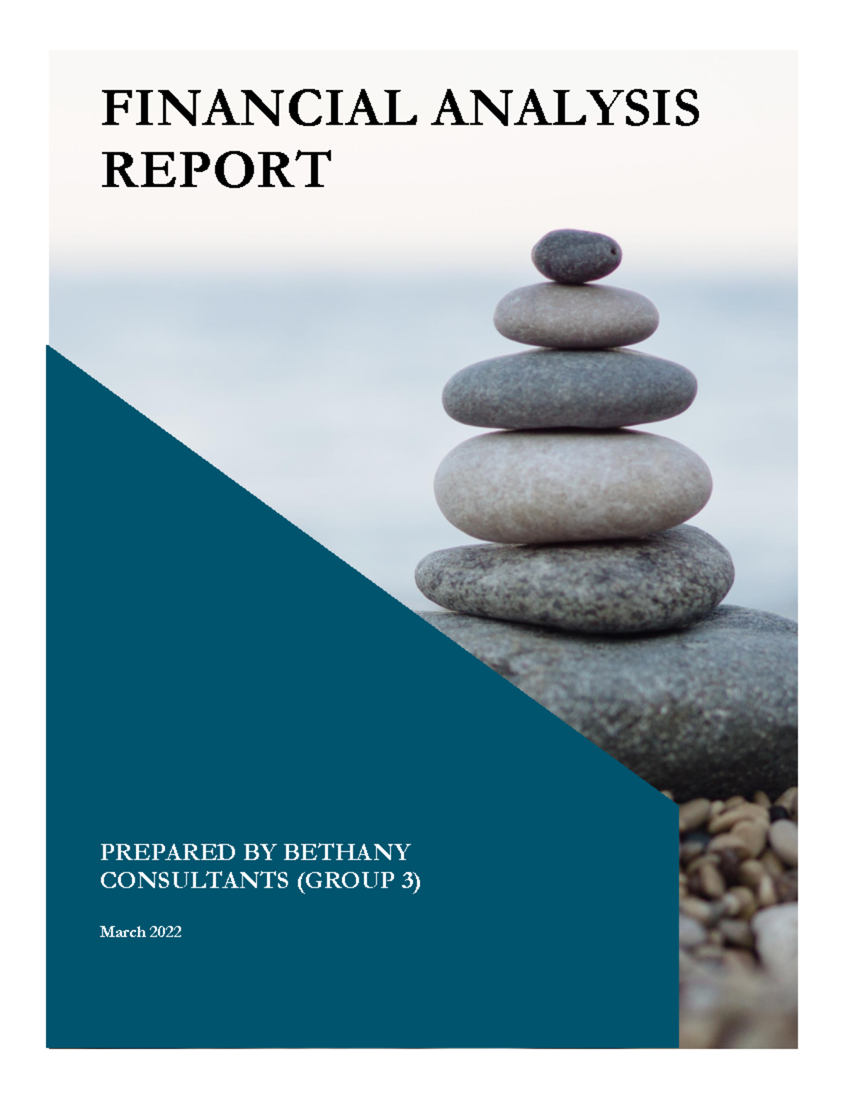 Financial Analysis Report Group 3 Coursework 1 (Final report ...