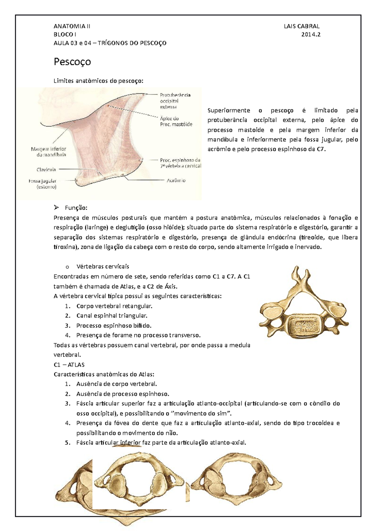 Trígonos do Pescoço - anatomia 2 - ANATOMIA II BLOCO I AULA 03 e 04 DO ...