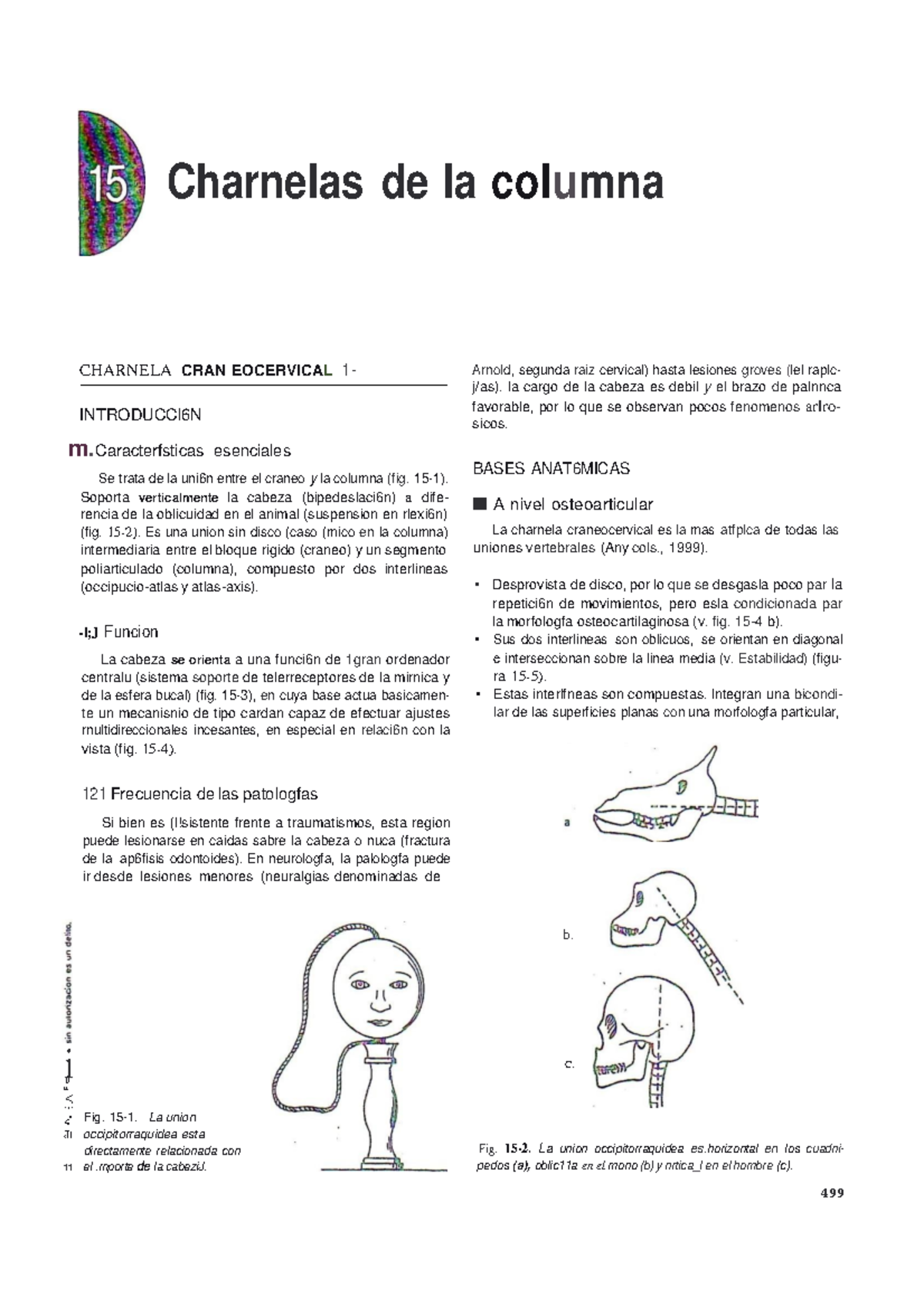 Charnela Convertido - pediatria - ####### i · 5 Charnelas de la columna ...