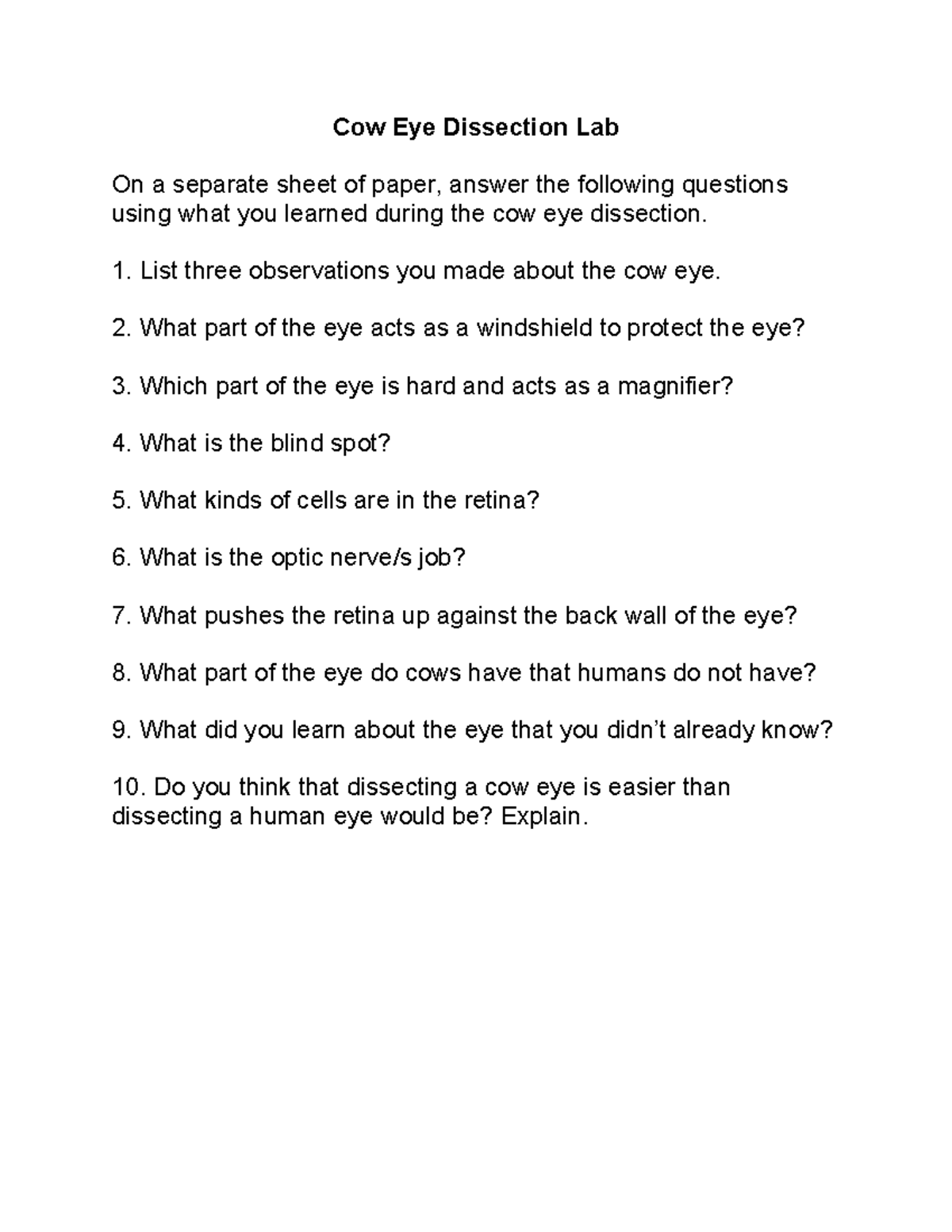 Cow Eye Dissection Lab - iujj - Cow Eye Dissection Lab On a separate ...