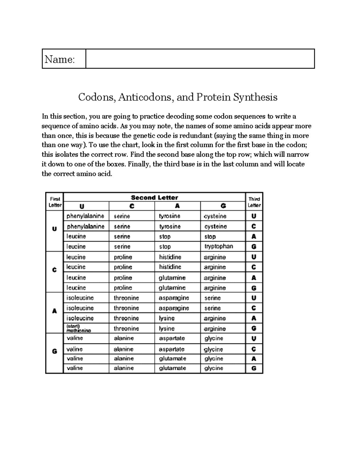 Codons Worksheet - Name: Codons, Anticodons, and Protein Synthesis In this section, you are ...