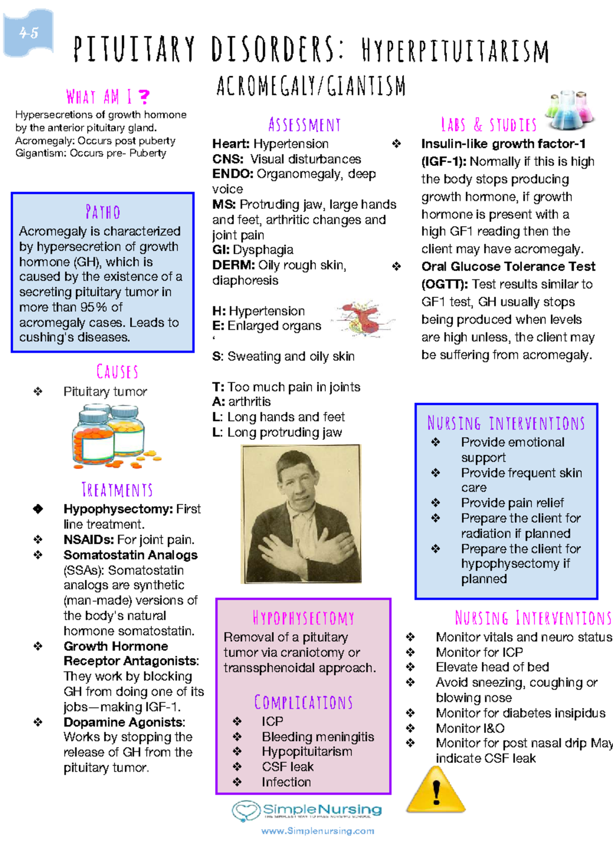 Endocrine handout Hyperpituitarism - Hypophysectomy Removal of a ...