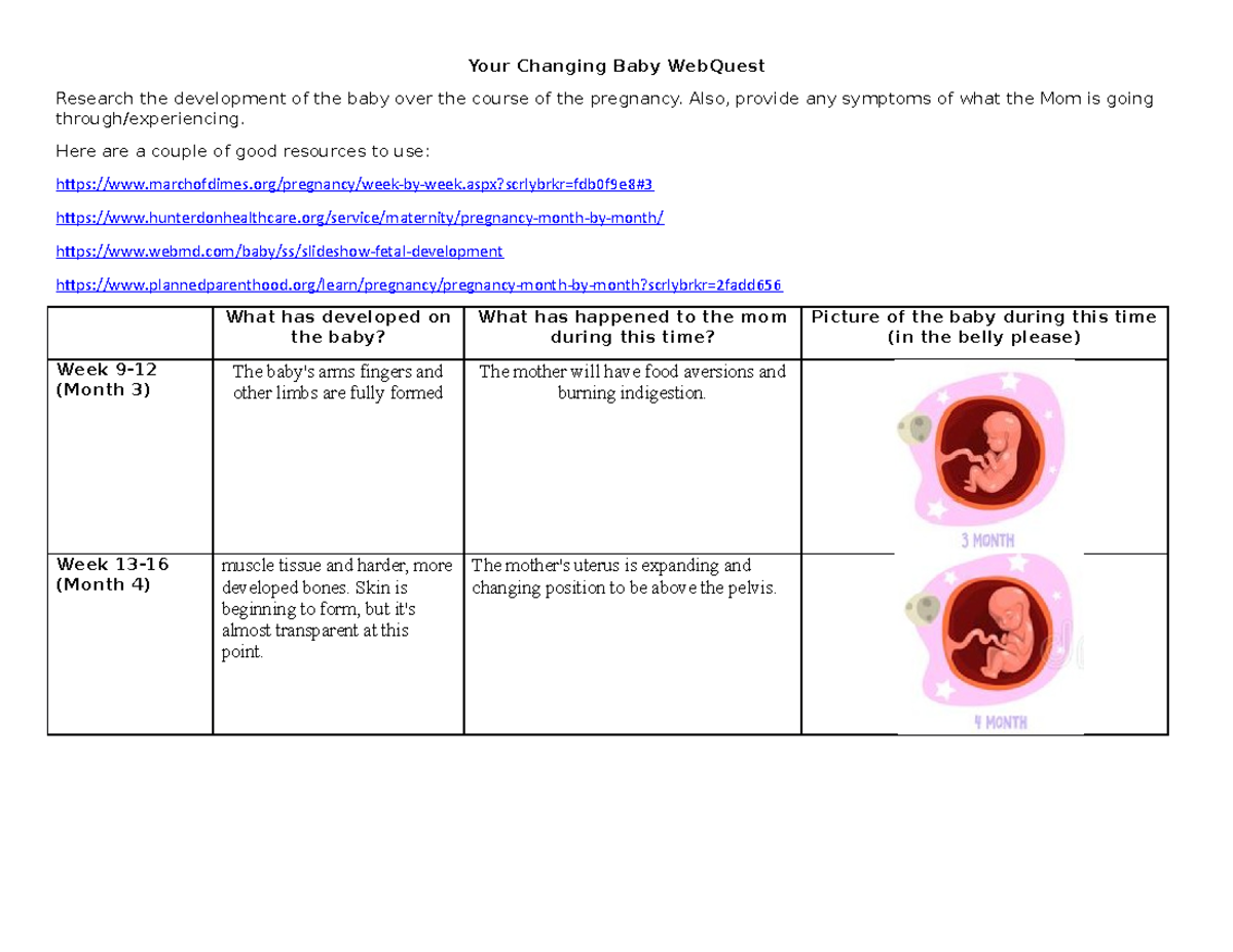 Your Changing Baby Web Quest - Your Changing Baby WebQuest Research the ...