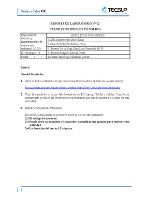 Modelo del informe (1) - ondas y calor mezclas de soluciones - Seguridad y Salud Ocupacional ...