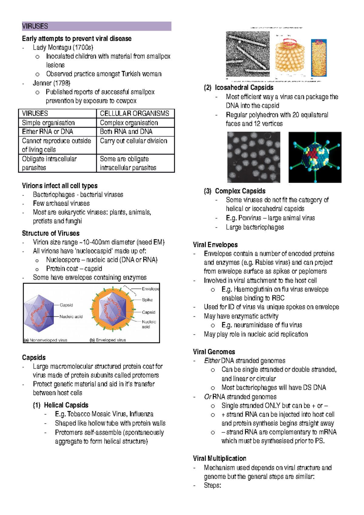 Viruses Lecture Notes - VIRUSES Early attempts to prevent viral disease ...