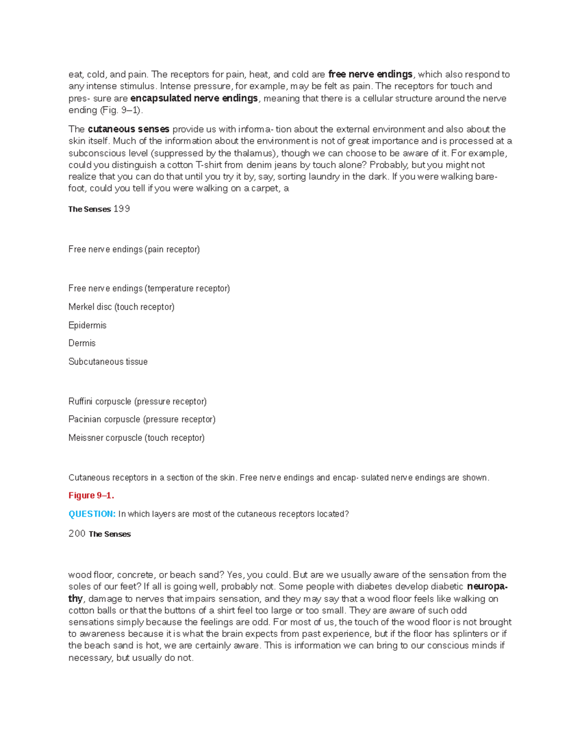 Anatomy notes 25 - eat, cold, and pain. The receptors for pain, heat ...