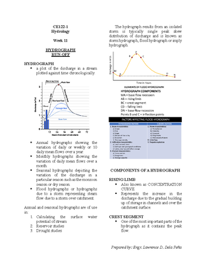 Real-Lesson-Plan - Lesson plan - School Bula National School of ...