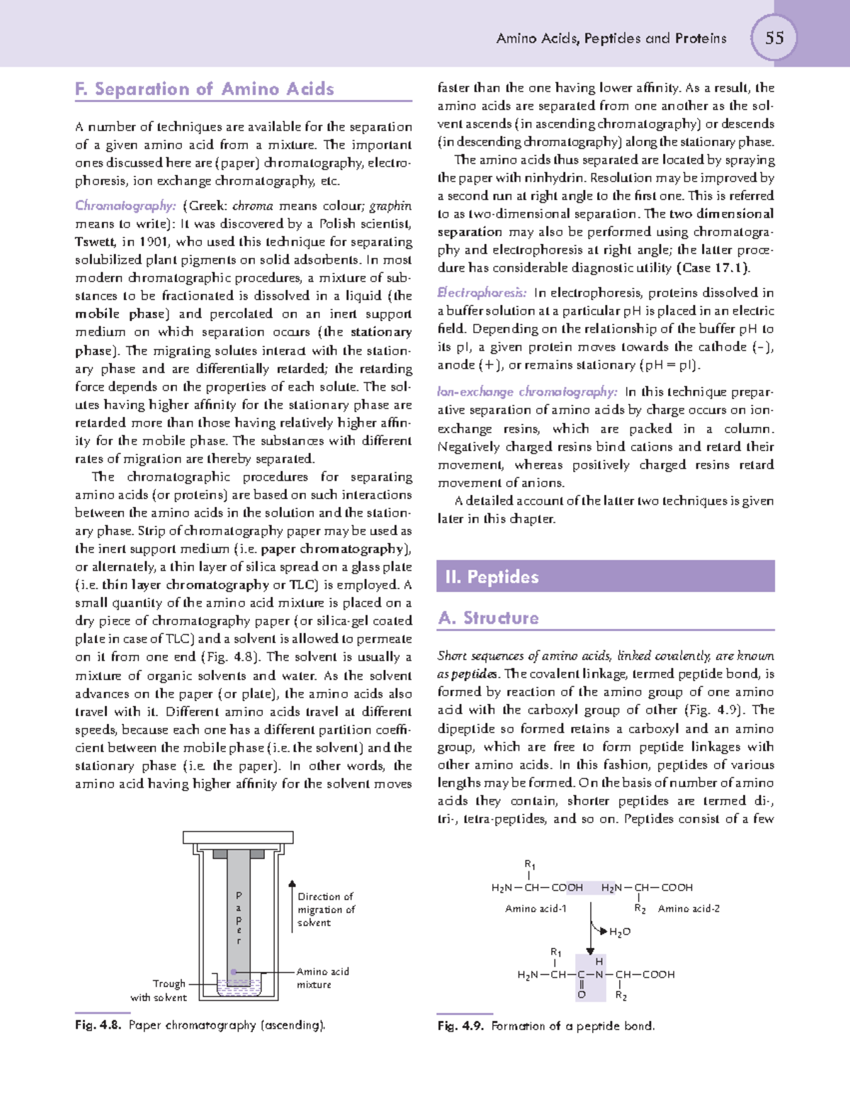 Biochemistry 1-26 - N/A - Amino Acids, Peptides and Proteins 55 faster ...