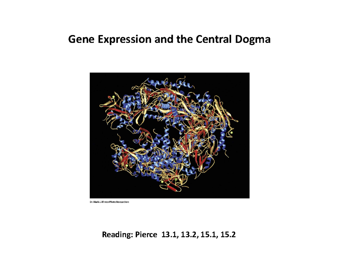 9. How genes function and the central dogma - Reading: Pierce 13, 13 ...