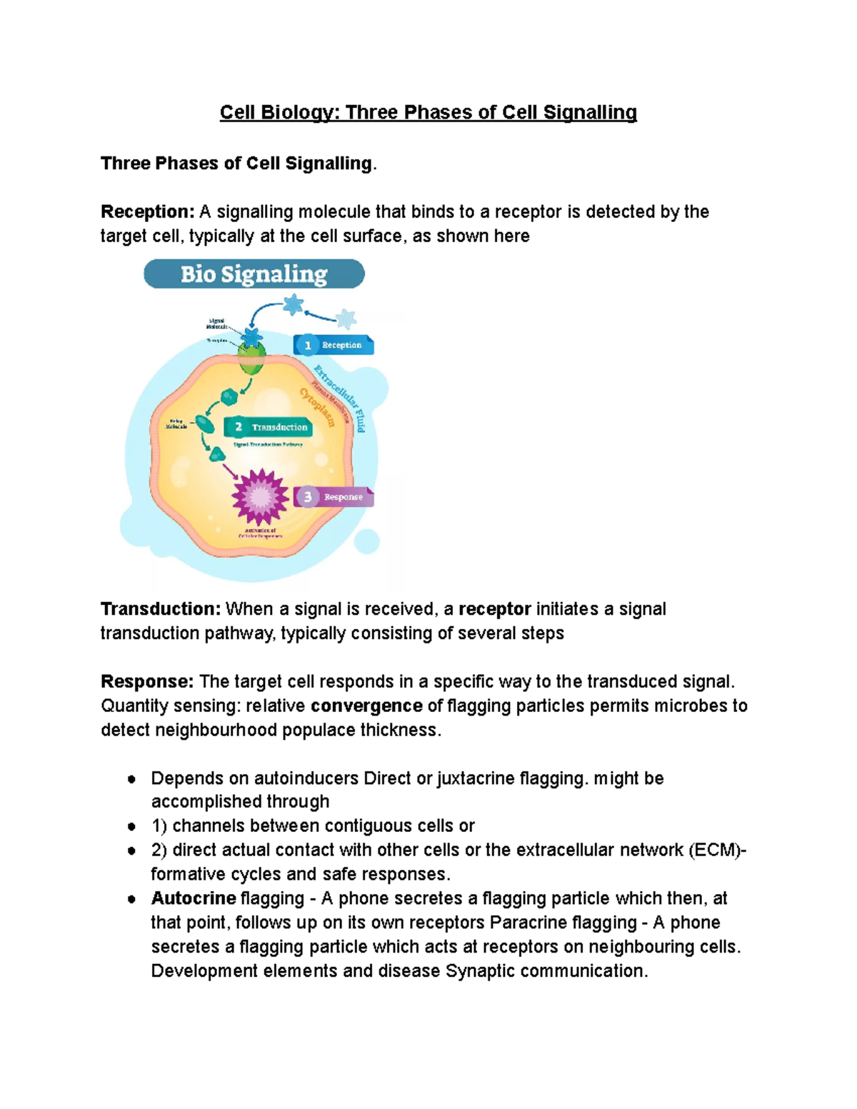 Cell Biology Three Phases of Cell Signalling - Reception: A signalling ...