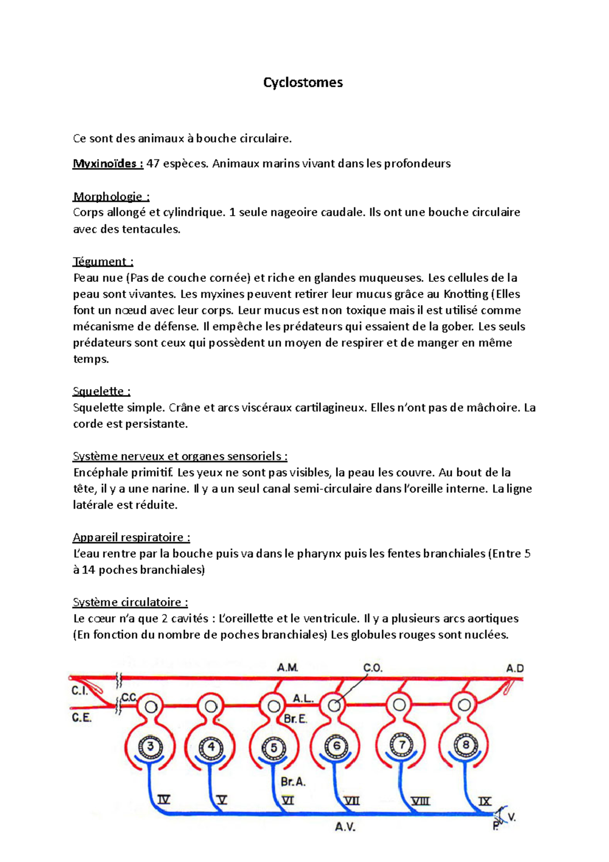 Cours sur les Cyclostomes - Biologie animale 1 - ULille - Studocu