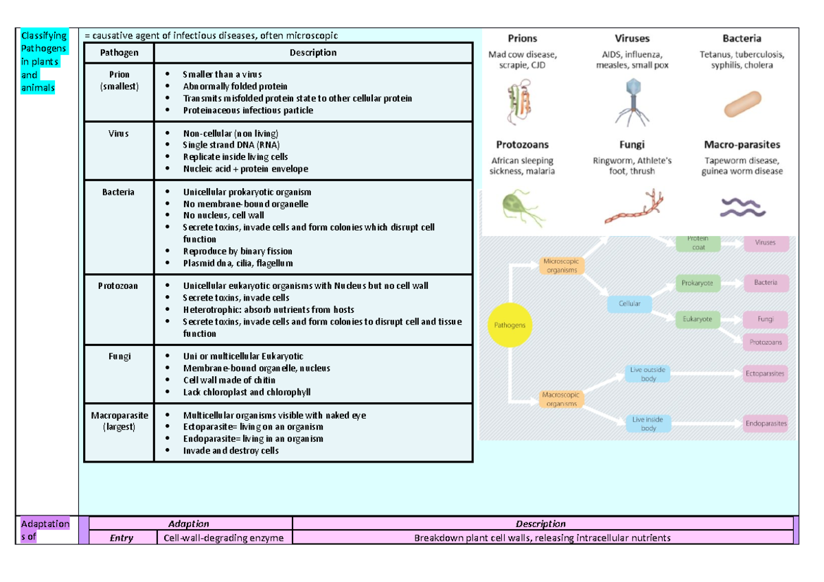 Module 7 notes - Classifying Pathogens in plants and animals ...