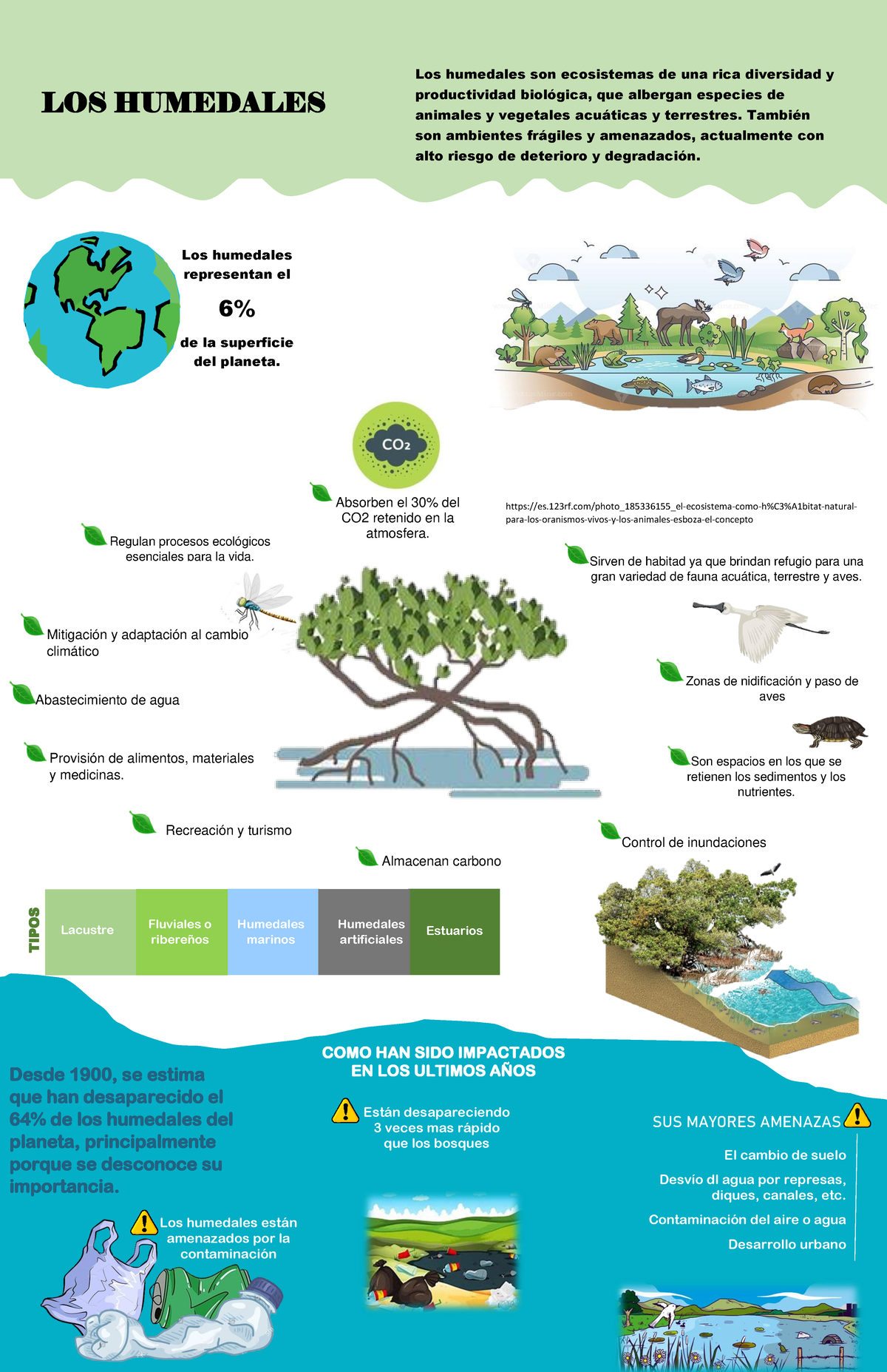 Infografia humedales - Los humedales son ecosistemas de una rica ...
