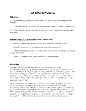 Lab 2 Sensations and Reflexes - Lab 2: Sensations and Reflexes (adapted ...