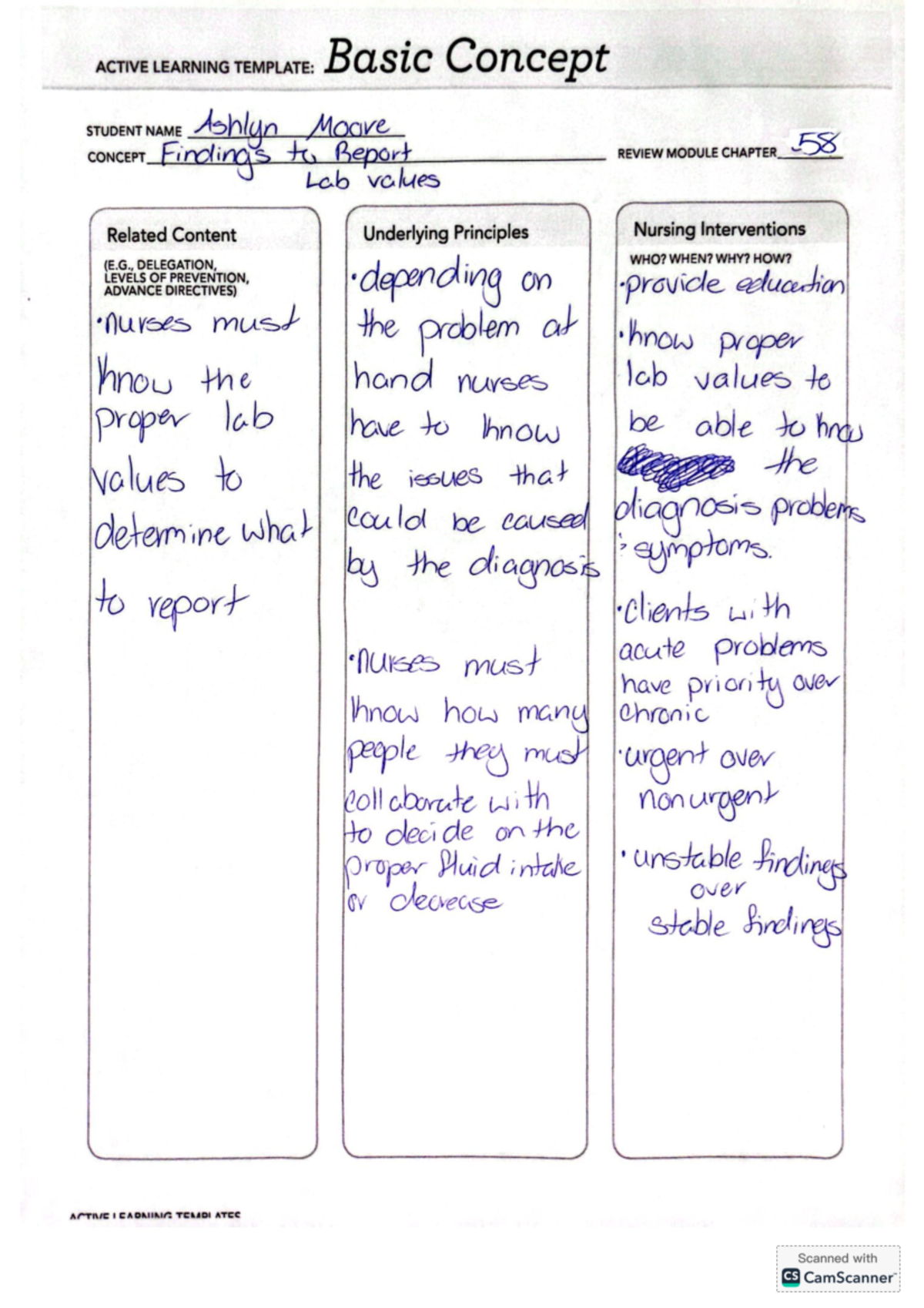 Basic Concepts; Findings to Report - ACTIVE LEARNING TEMPLATE: Basic ...